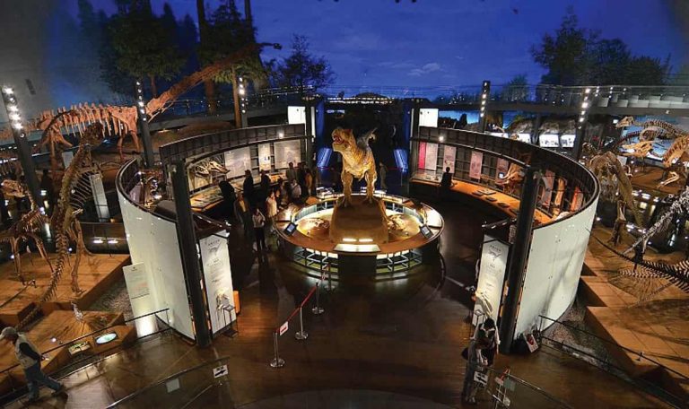 Dinosaur Museum | Design by Bareo | ออกแบบ ตกแต่งภายใน by Bareo