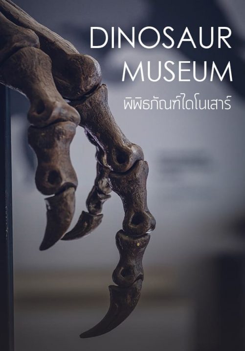 Pointillism ศิลปะจากจุด | ออกแบบ ตกแต่งภายใน by Bareo