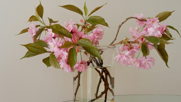 Home Decor : Flower Vase Arrangement | Interior Design by Bareo